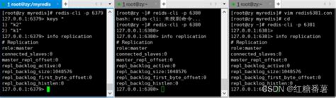 Redis的主从复制原理 知乎
