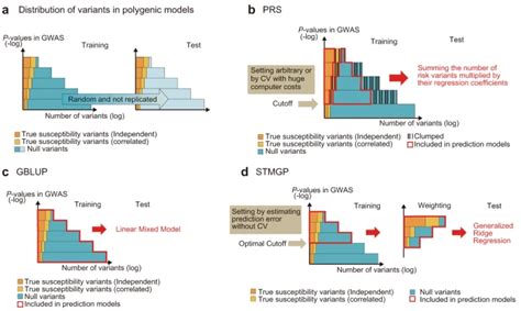 New Article Titled Machine Learning For Effectively Avoiding Overfitting Is A Crucial Strategy