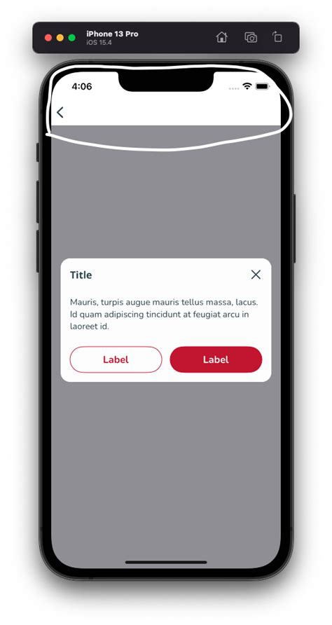 Ignore NavigationBar In Popup Issue Exyte PopupView GitHub