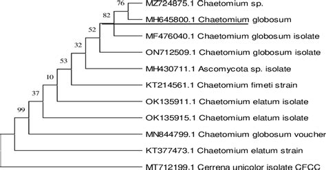 Figure 1 From Production And Characterization Of Cellulolytic Enzymes By Chaetomium Globosum For