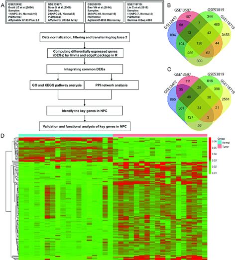 Identification Of Differentially Expressed Genes In Npc A Workflow Download Scientific