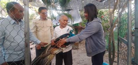 សត្វក្ងោក២០ក្បាល បាននាំយកមកឱ្យម្ចាស់អ្នកចិញ្ចឹមវិញហើយនៅឃុំត្រពាំងចាន់ស្រុកបរិបូរណ៍ ក្រសួងព័ត៌មាន