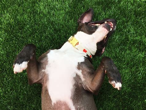 D DIY Sex Toys COOL HUNTING