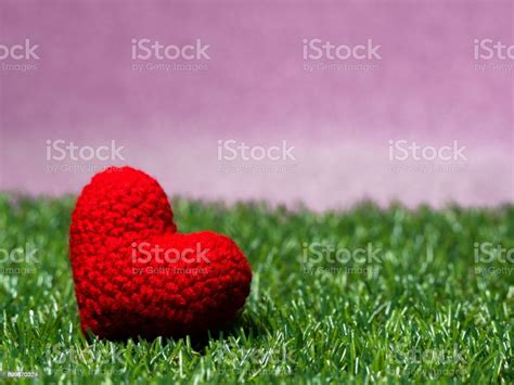 녹색 잔디 배경에 붉은 사 수 제 마음은 로얄 핑크 텍스트 발렌타인 사랑 개념에 대 한 공간을 복사 하 고 사랑 하는 배경 0명에 대한 스톡 사진 및 기타 이미지 Istock