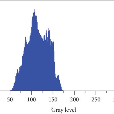 Histogram Statistics Of Original Graph Download Scientific Diagram