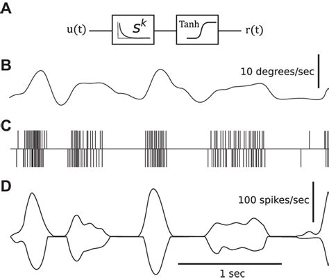 A Fractional Order Dynamical Model With Static Nonlinearity Relating Download Scientific