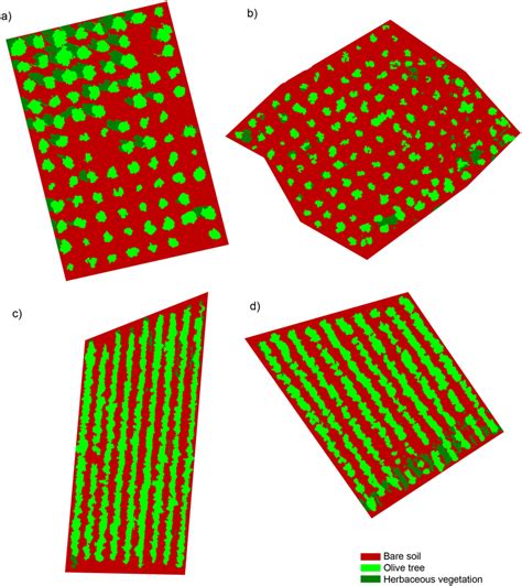 Classification Outputs Generated By The Obia Algorithm Developed In Download Scientific Diagram