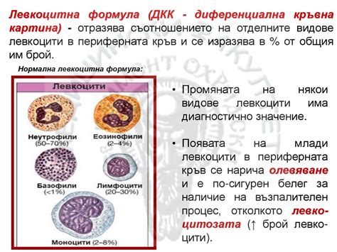 Кръв тъкан циркулираща в затворена система от кръвоносни съдове презентация онлайн