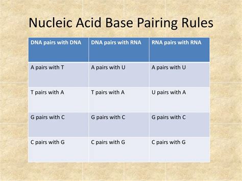Ppt Dna Rna Powerpoint Presentation Free Download Id3147420