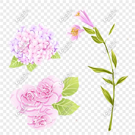 핑크 플라워 프리 소재 Png 일러스트 무료 다운로드 Lovepik