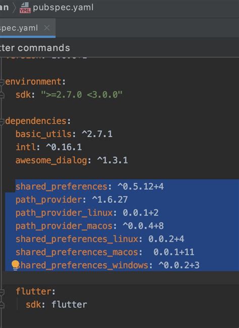 Share Preference Package Of Flutter Show Error After Update Stack Overflow