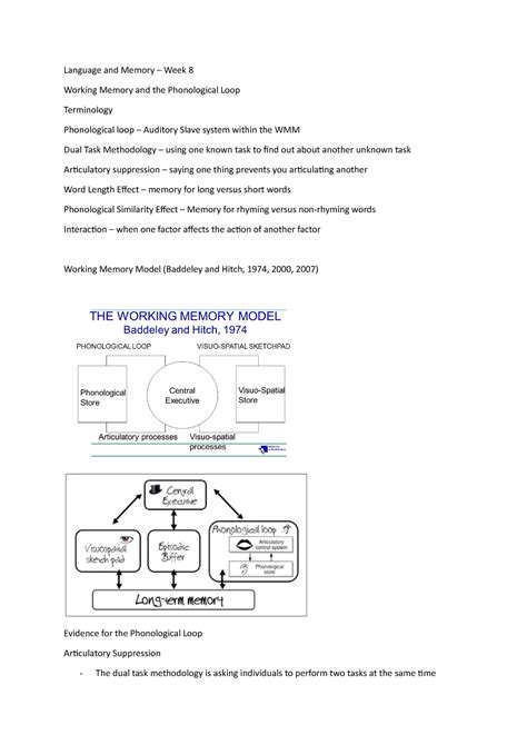 Language And Memory Week 8 Working Memory And The Phonological Loop Language And Memory