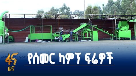 የሰመር ካምፕ ፍሬዎች Youtube