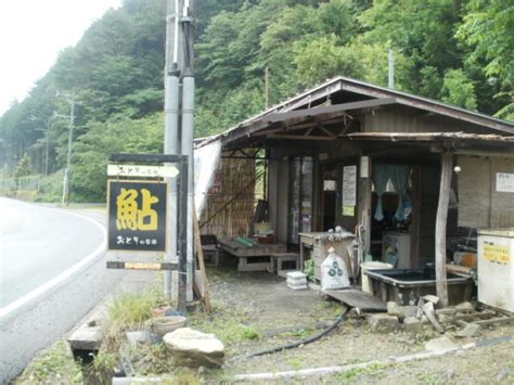 今井おとり店準備完了です 清流白川アユ情報
