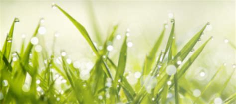 About Flow Security Systems