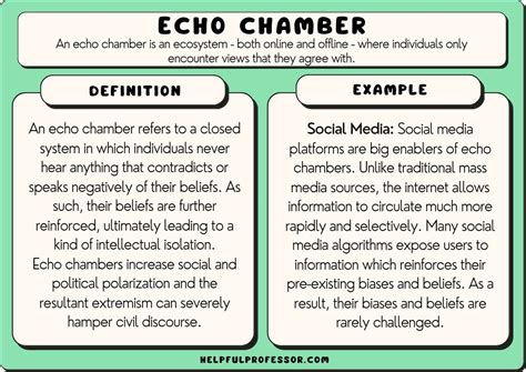 10 Echo Chamber Examples 2025