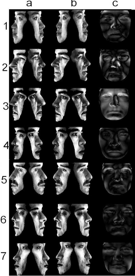 Novel View Synthesis Analysis The Different Rows Represent Different Download Scientific