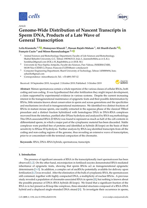 Pdf Genome Wide Distribution Of Nascent Transcripts In Sperm Dna Products Of A Late Wave Of