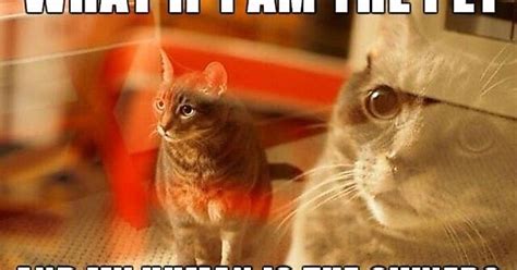 In A Parallel Universe Album On Imgur