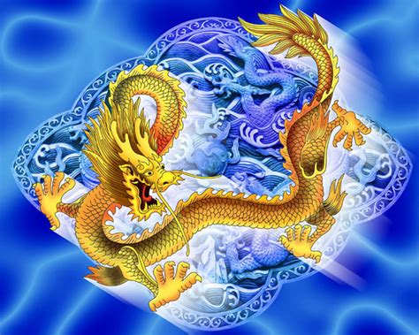 飞龙图册 360百科