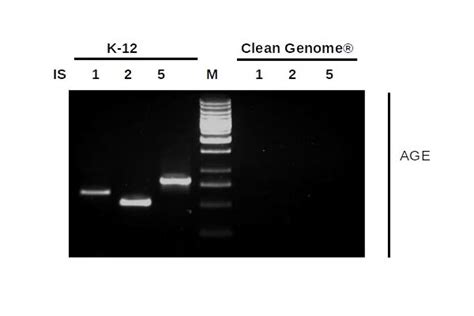 scarab mistral is detection insertion sequence detection