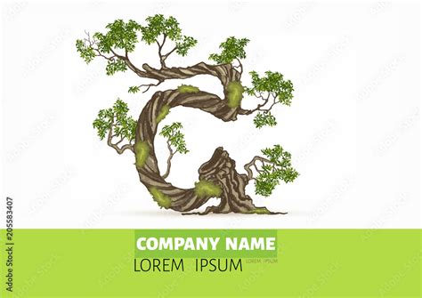 Tree Font Twisted Tree In The Shape Of Letter Letter A B C Vector