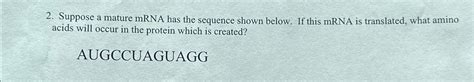 Solved Suppose A Mature MRNA Has The Sequence Shown Below Chegg Com