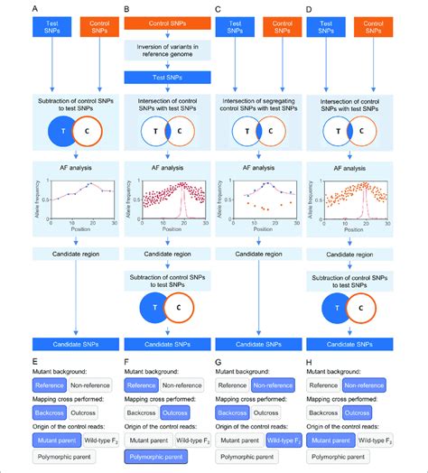 Some Strategies For Ems Induced Mutation Mapping Implemented In Download Scientific Diagram