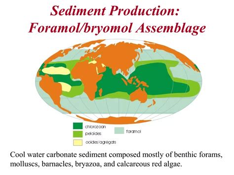 Carbonate Depositional Systems Ppt Geology Science
