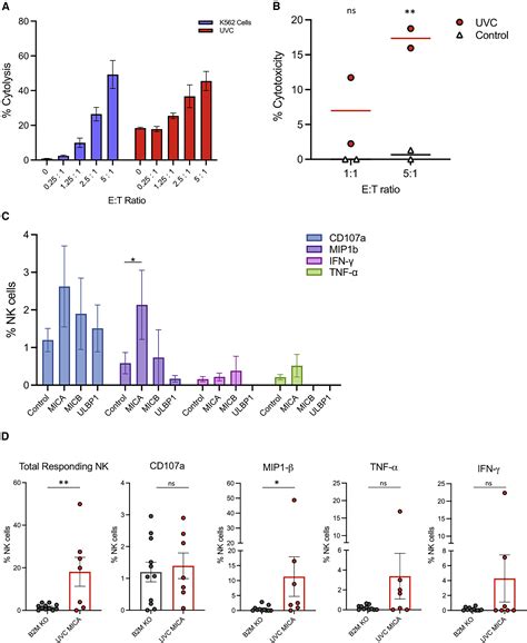 A Genetically Engineered Stem Cell Derived Cellular Vaccine Cell
