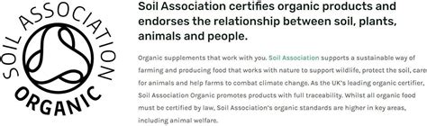 Organic Astragalus Energy Tonic Night Sweats Diarrhea Digestion