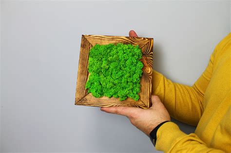 Картина из мха своими руками