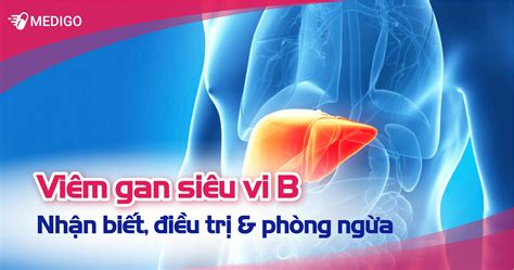 Vi M Gan B Nguy N Nh N Tri U Ch Ng Chu N O N V I U Tr