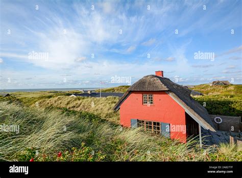 Dune Landscape At The North Sea With Holiday Homes Near Henne Strand