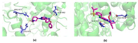 Ijms Free Full Text Msgnn Dta Multi Scale Topological Feature