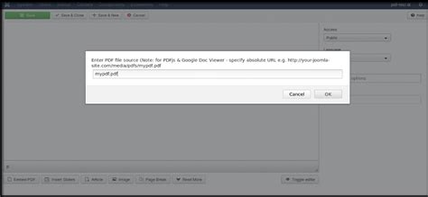 Installation Setup Usage Instructions For PDF Embed