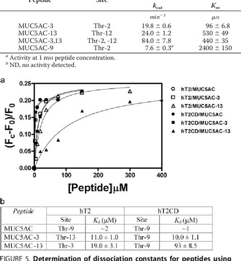 Figure 5 From The Catalytic And Lectin Domains Of Udp Galnacpolypeptide α N
