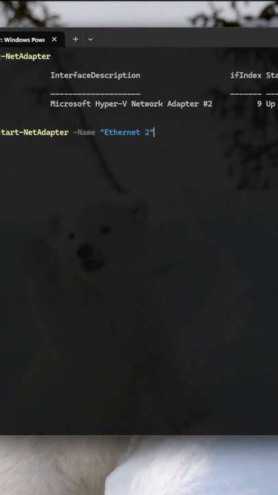 Restart Wi Fi Adapter Sysadmin Windows Ittips Microsoft Techtips Youtube