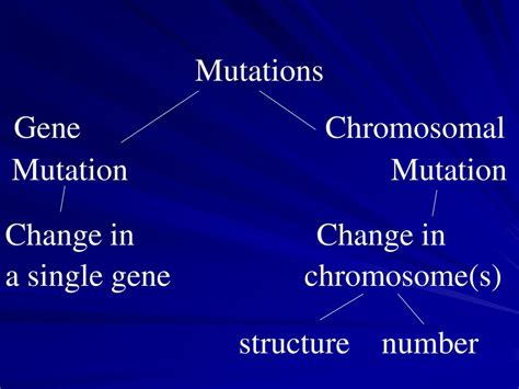 Congenital Generalized Hypertrichosis Dominant Gene Sex Linked X