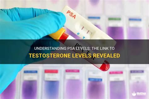 Understanding Psa Levels The Link To Testosterone Levels Revealed Medshun