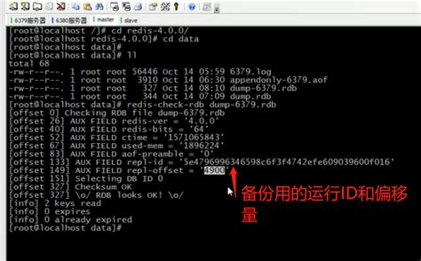 心跳机制redisredis心跳connectionping Csdn博客