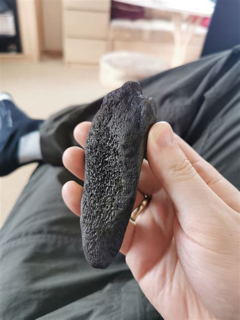 Possible Fossil Or Just A Rock Fossil Id The Fossil Forum