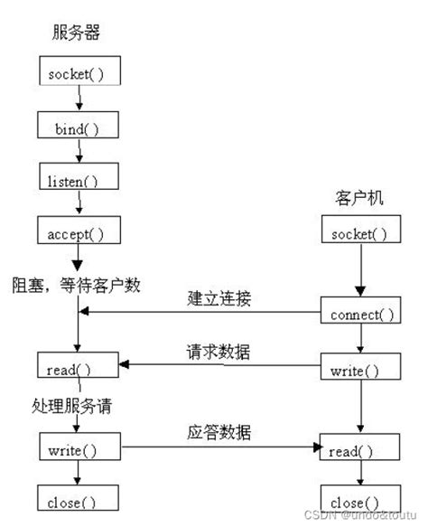 Linux中的socket函数相关内容；struct Sockaddrsockaddrin及inaddr详解sockaddr Linux Csdn博客