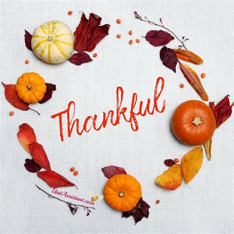 Unit Assistant Happy Thanksgiving From Our Team At Unit Facebook