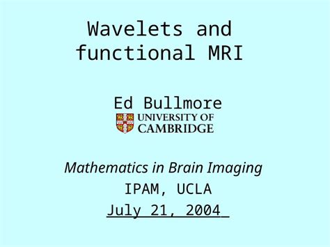 Ppt Wavelets And Functional Mri Dokumen Tips