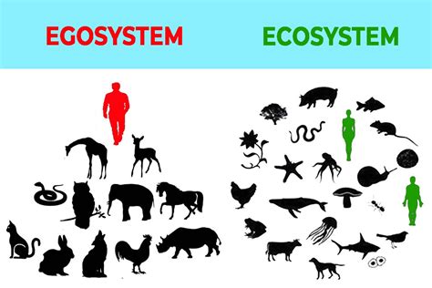 The Egocentric Mindset Holding Us Back From A Sustainable Future