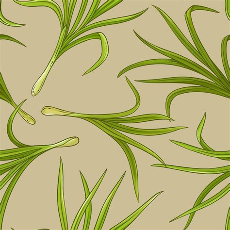Premium Vector Lemongrass Vector Pattern