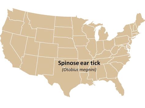 Spinose Ear Tick The Tick App