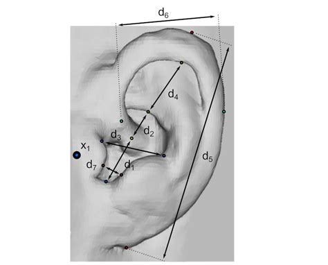 The ITA HRTF Database A High Resolution Head Related Transfer Function