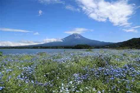 今日の富士1 6月3日 by kubo h ID11813185 写真共有サイト PHOTOHITO